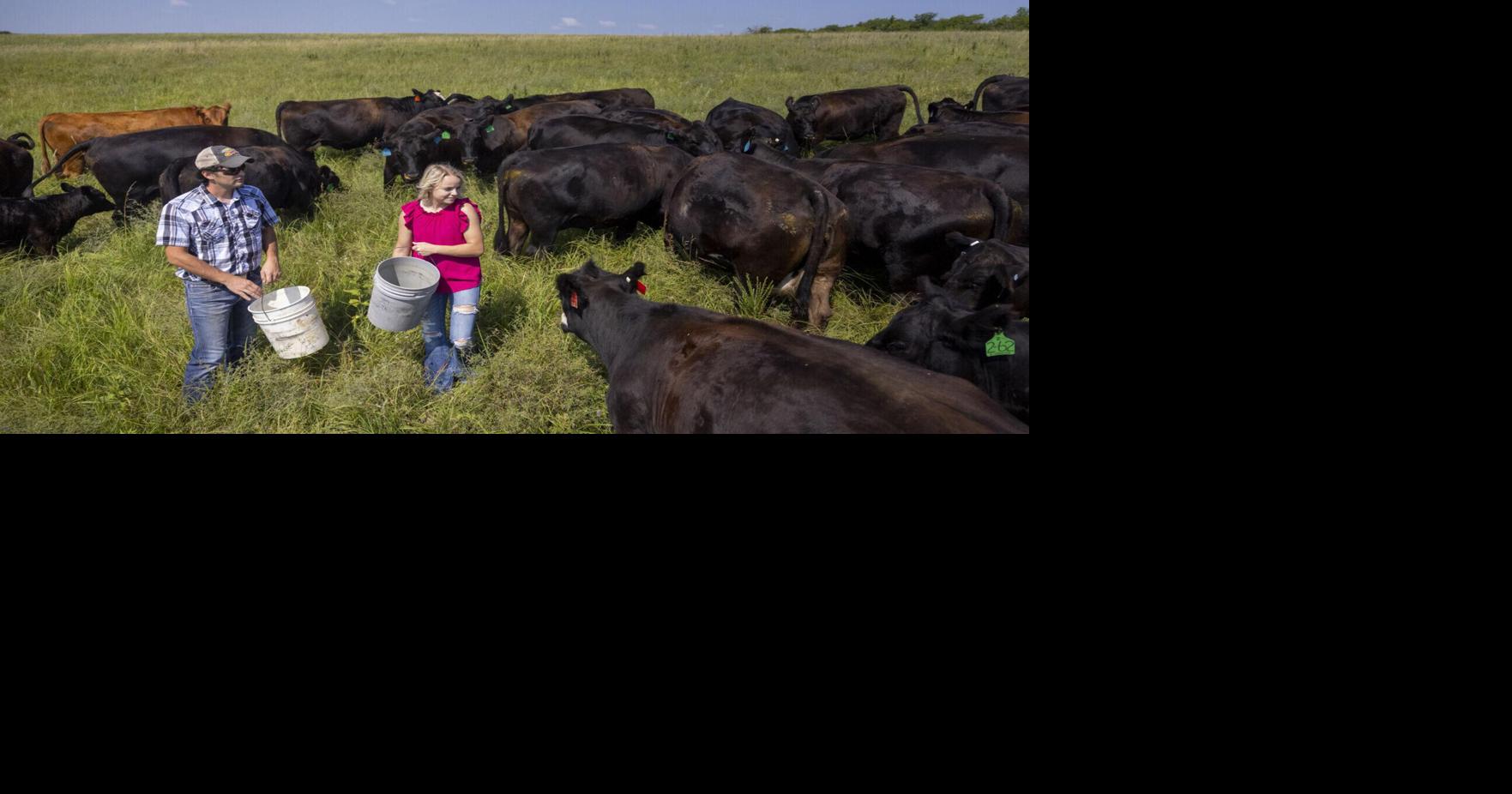 Sixth-generation Nebraska cattle ranchers taking business to a modern ...