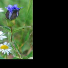 Q&A: Faith Colburn shares how the Great Plains inspired her writing