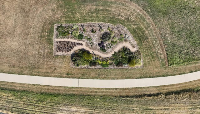 Nebraska-shaped pollinator garden thrives at Johnson Lake