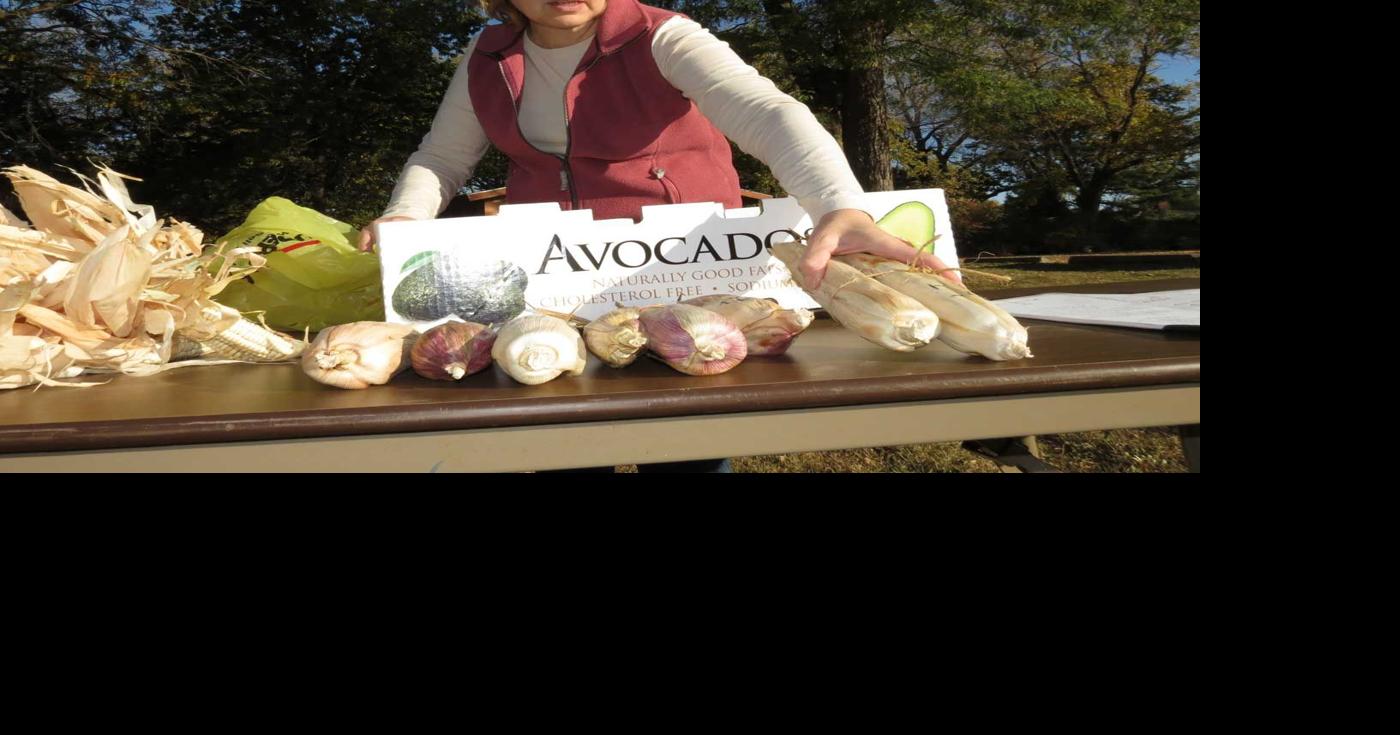 Gardeners eager to demystify Pawnee corn harvest