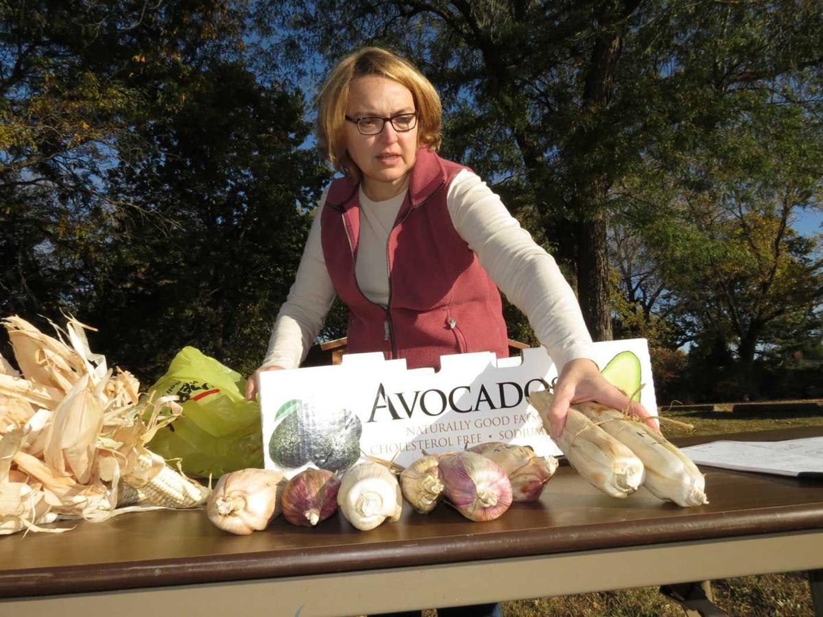 Gardeners eager to demystify Pawnee corn harvest