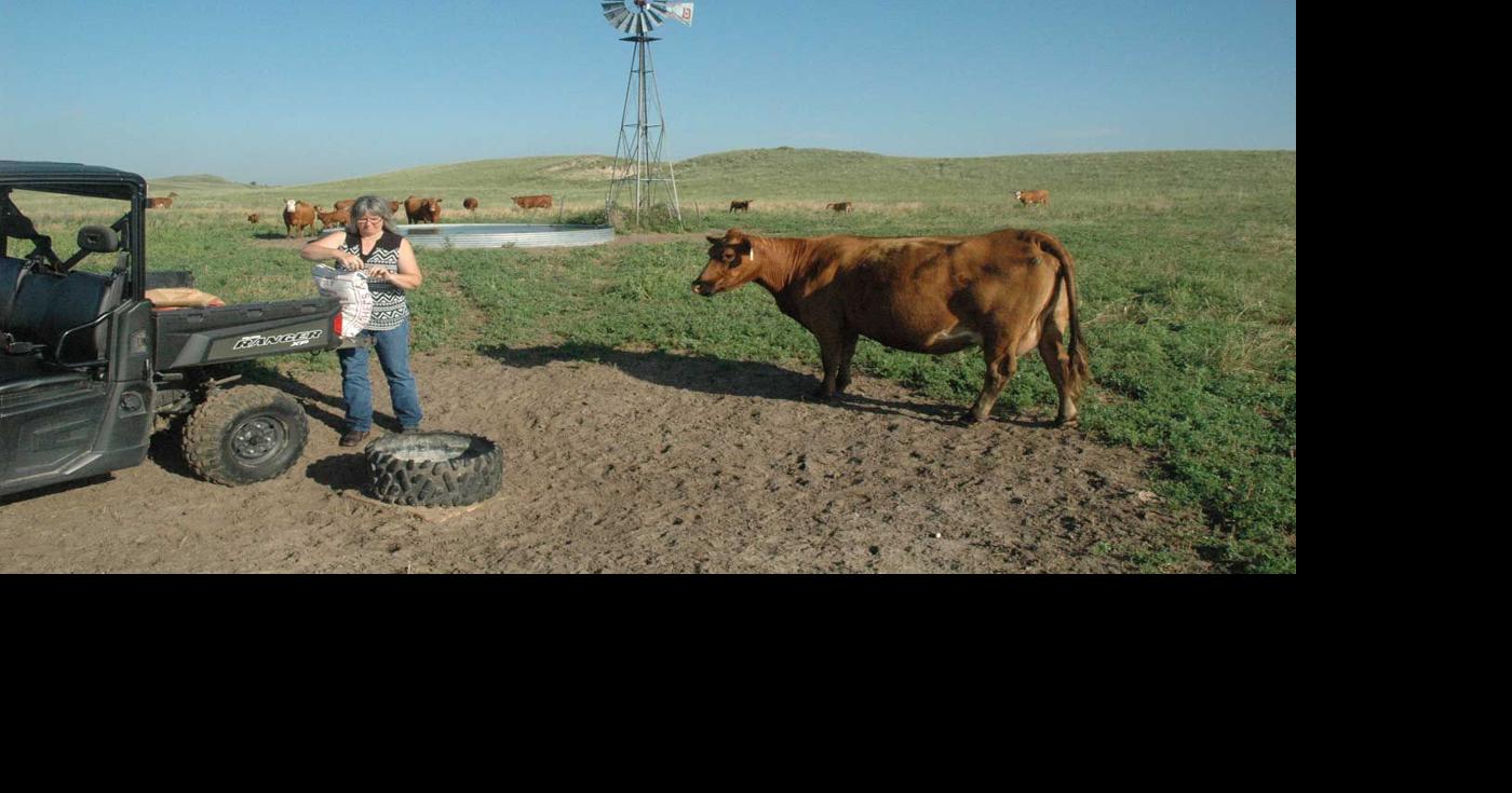Cooksley becomes first female president of Nebraska Cattlemen