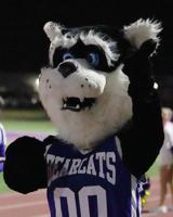 Correction: I made the mascot mistake