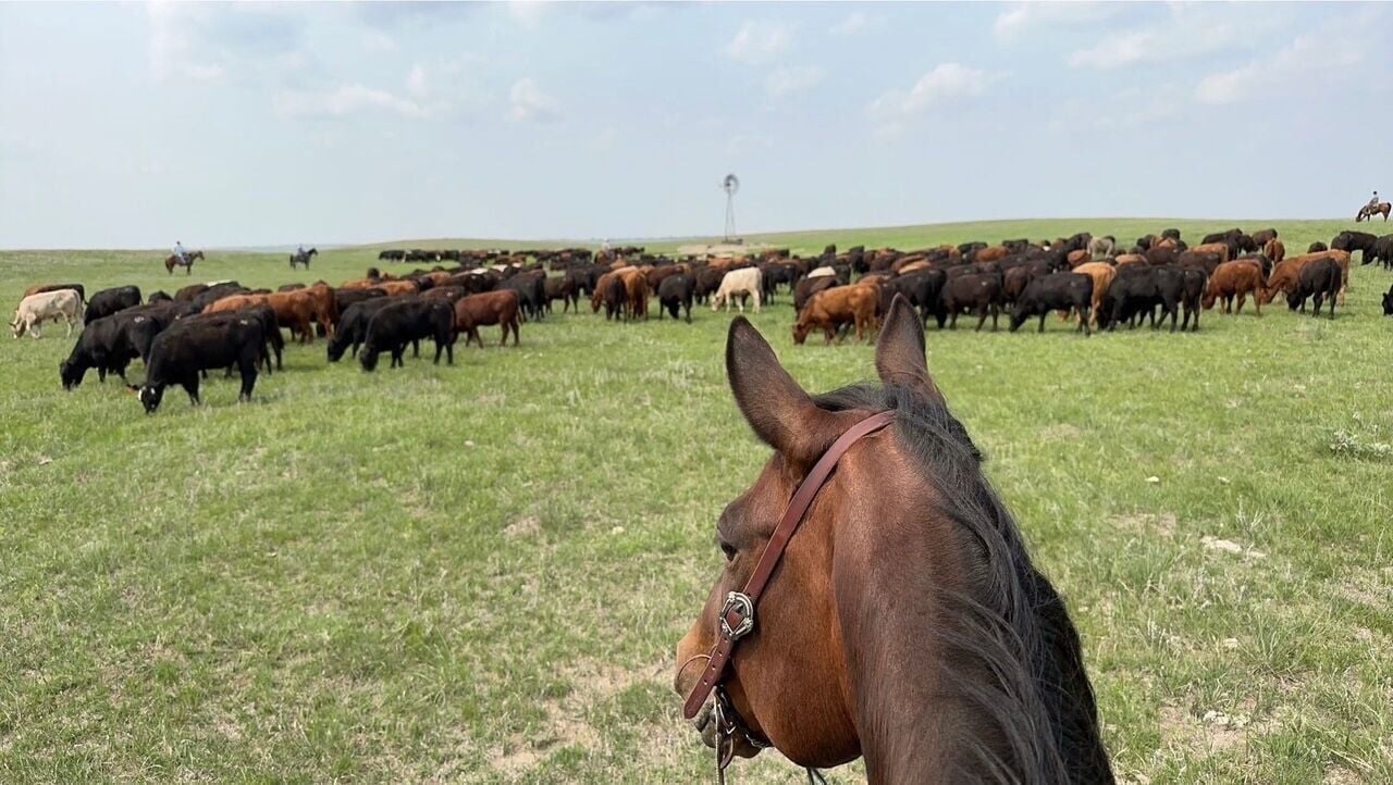 Nebraska Sandhills ranch draws record sale price: $56M