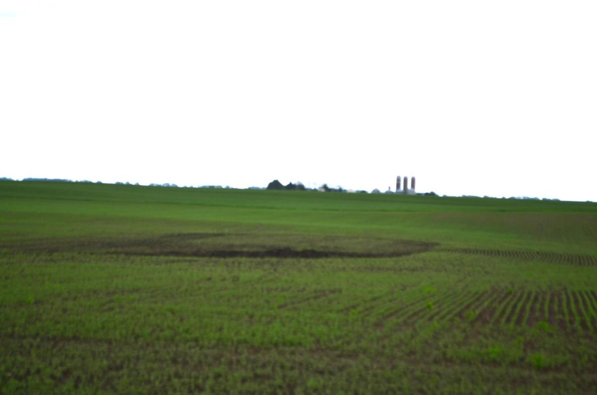 David Schultz died of hypothermia, meth intoxication