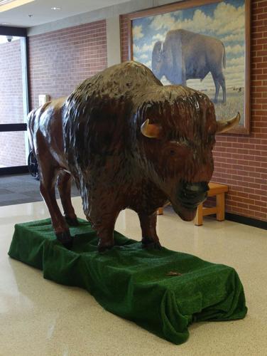 Buffalo County may join other of state's largest counties