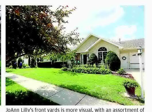 Yard for a nature lover