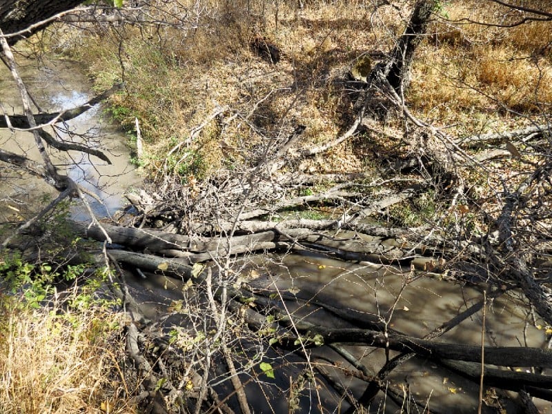 Spring Creek debris cleanup under way | Local News | kearneyhub.com