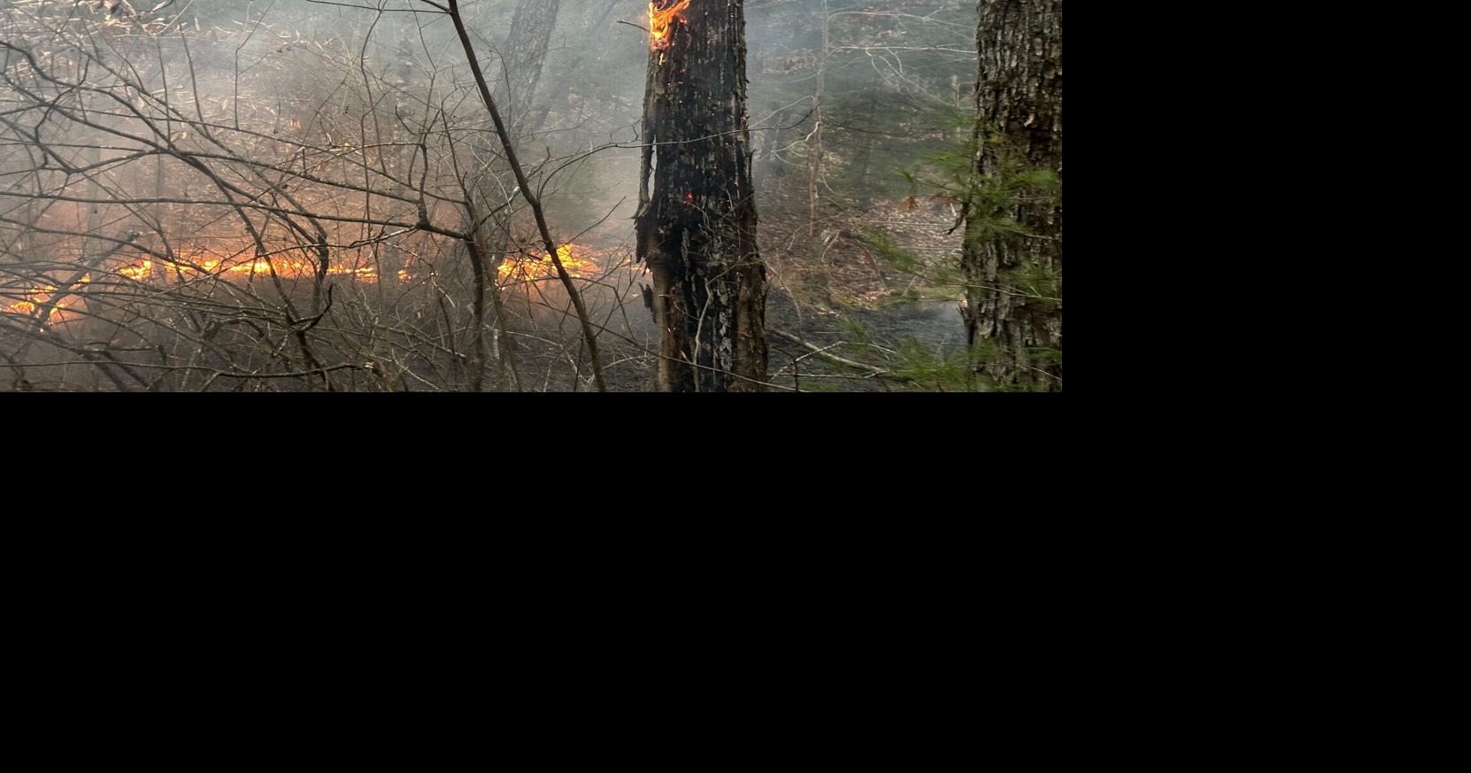 Rindge police: Cigarette started brush fire in state forest | Local ...