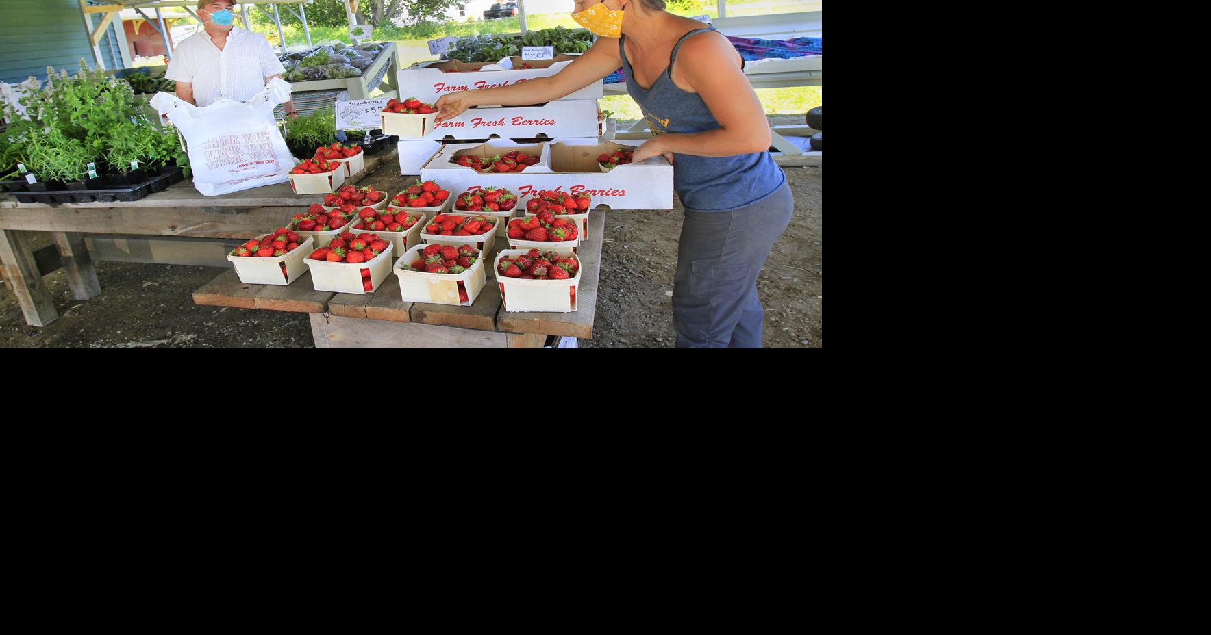 Walpole, Winchester farms receive conservation grants | Local News ...