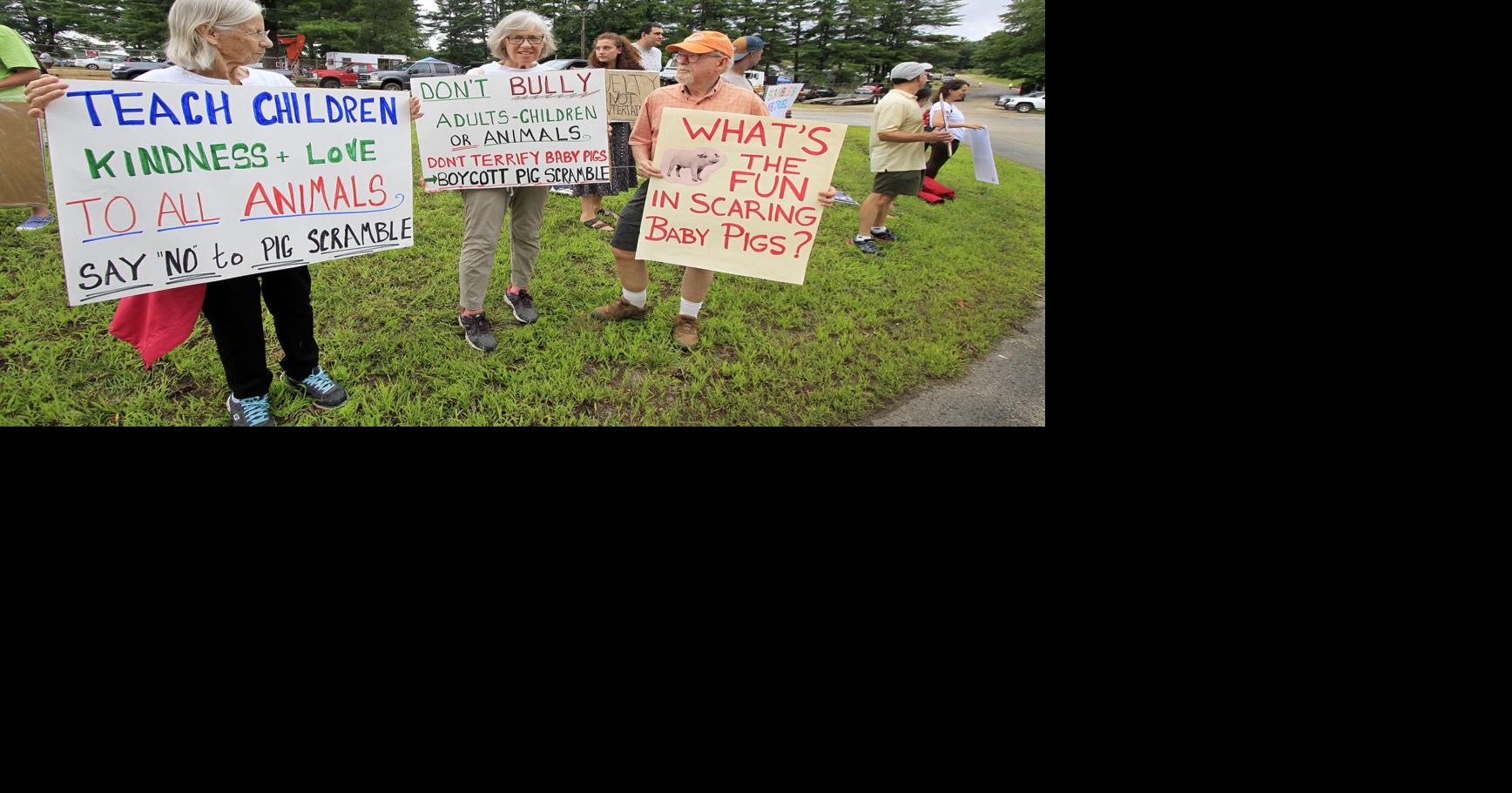 NH bill would outlaw pig-capture event | Local News | keenesentinel.com