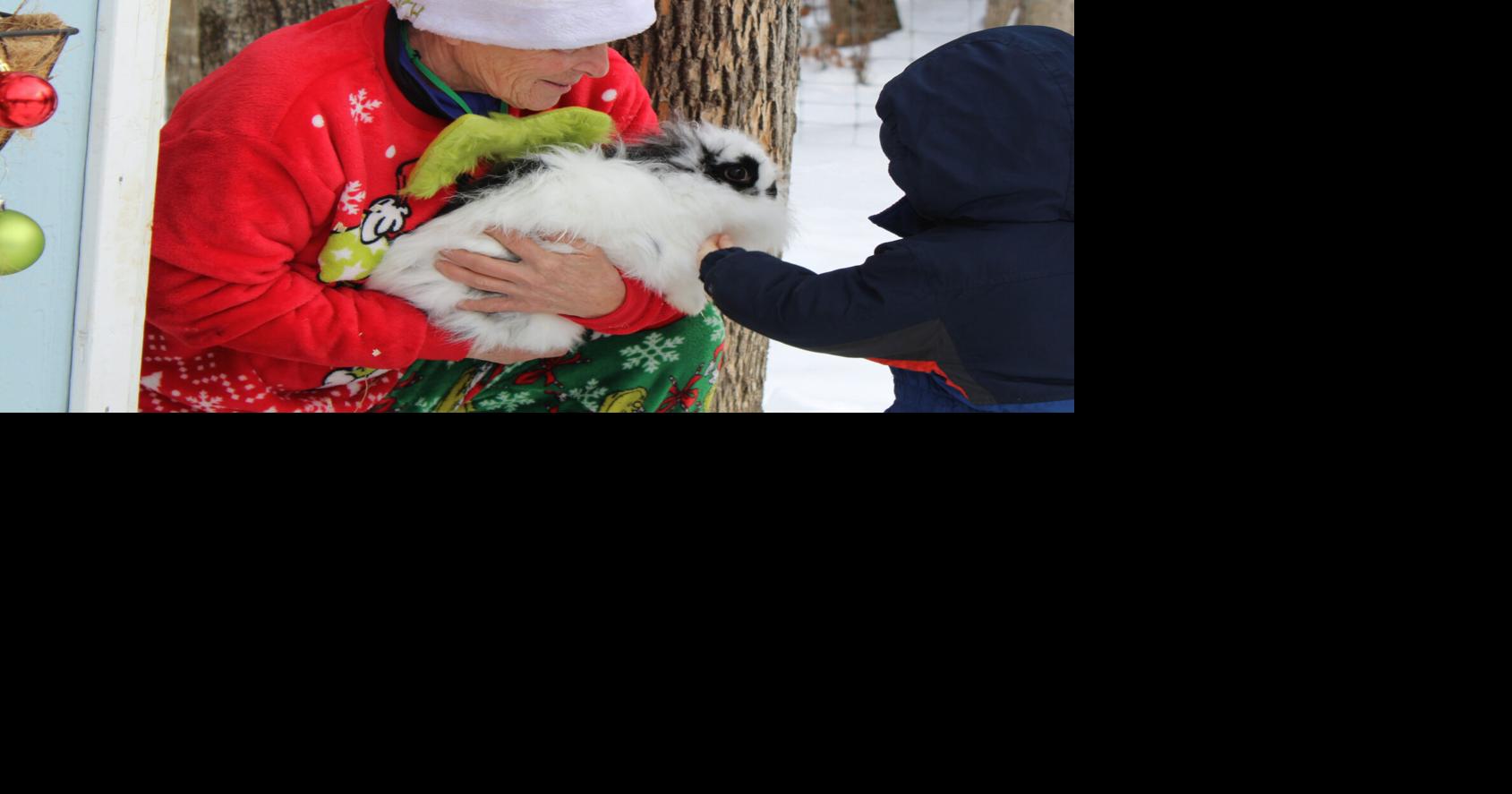 Sullivan NH animal sanctuary holds fundraiser | Local News ...