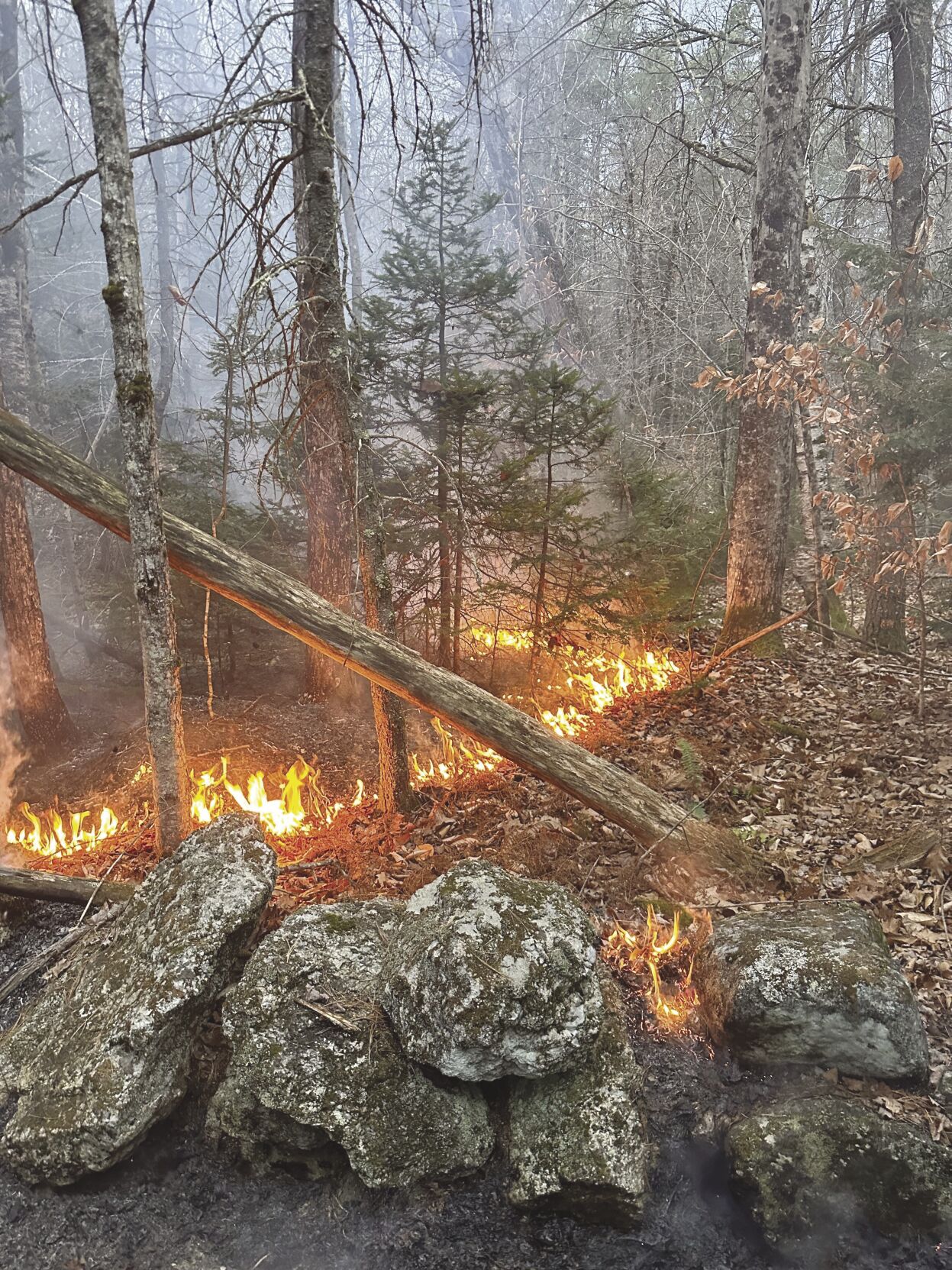 Rindge police: Cigarette started brush fire in state forest | Local ...