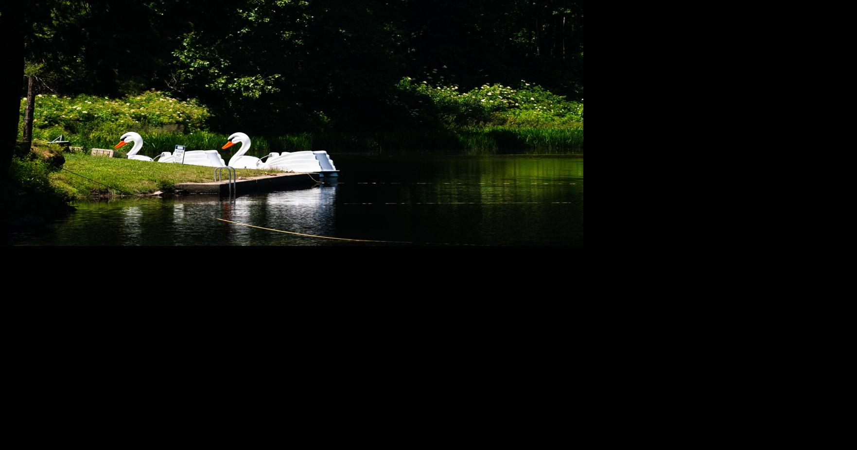 After loss of previous boat, 'swans' return to Alstead recreation area ...