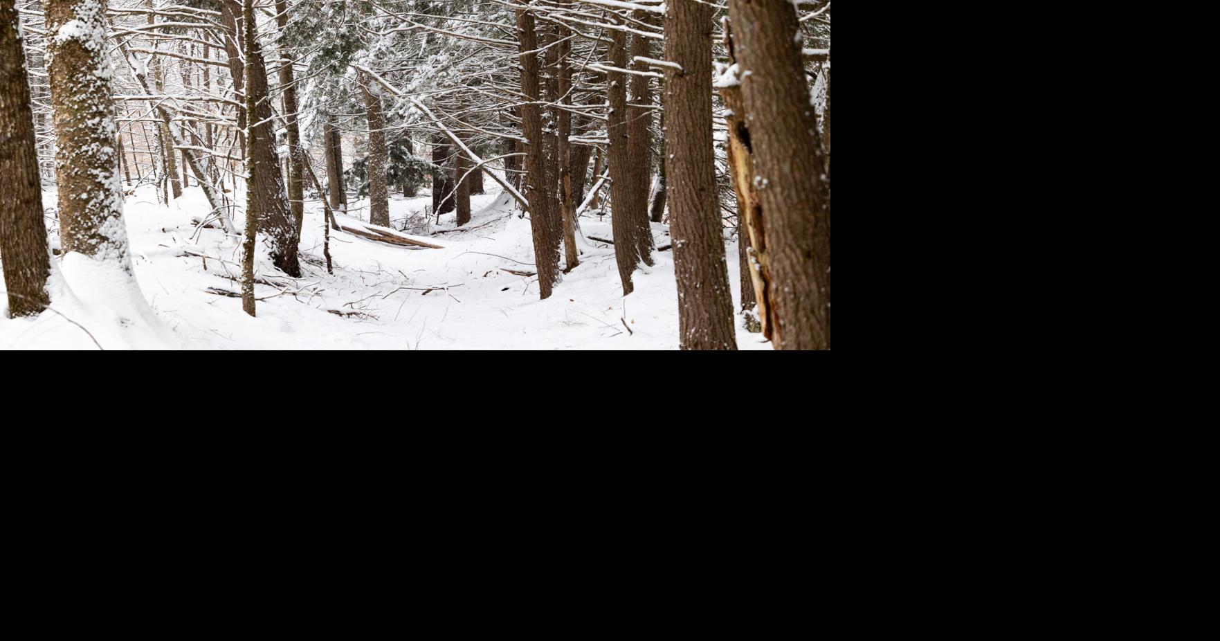 Monadnock Region blanketed during snowstorm | Local News ...