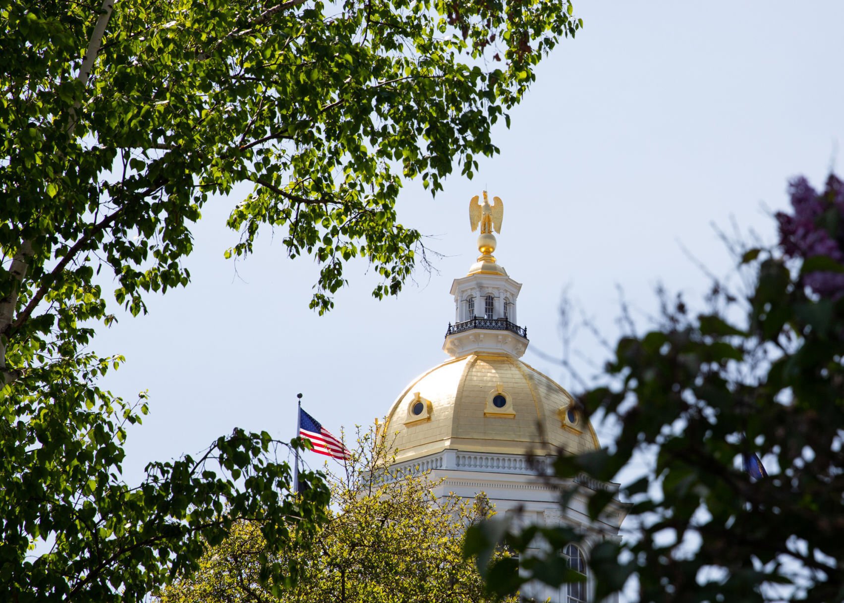 Measure intended to shed light on legislative process | Local News ...