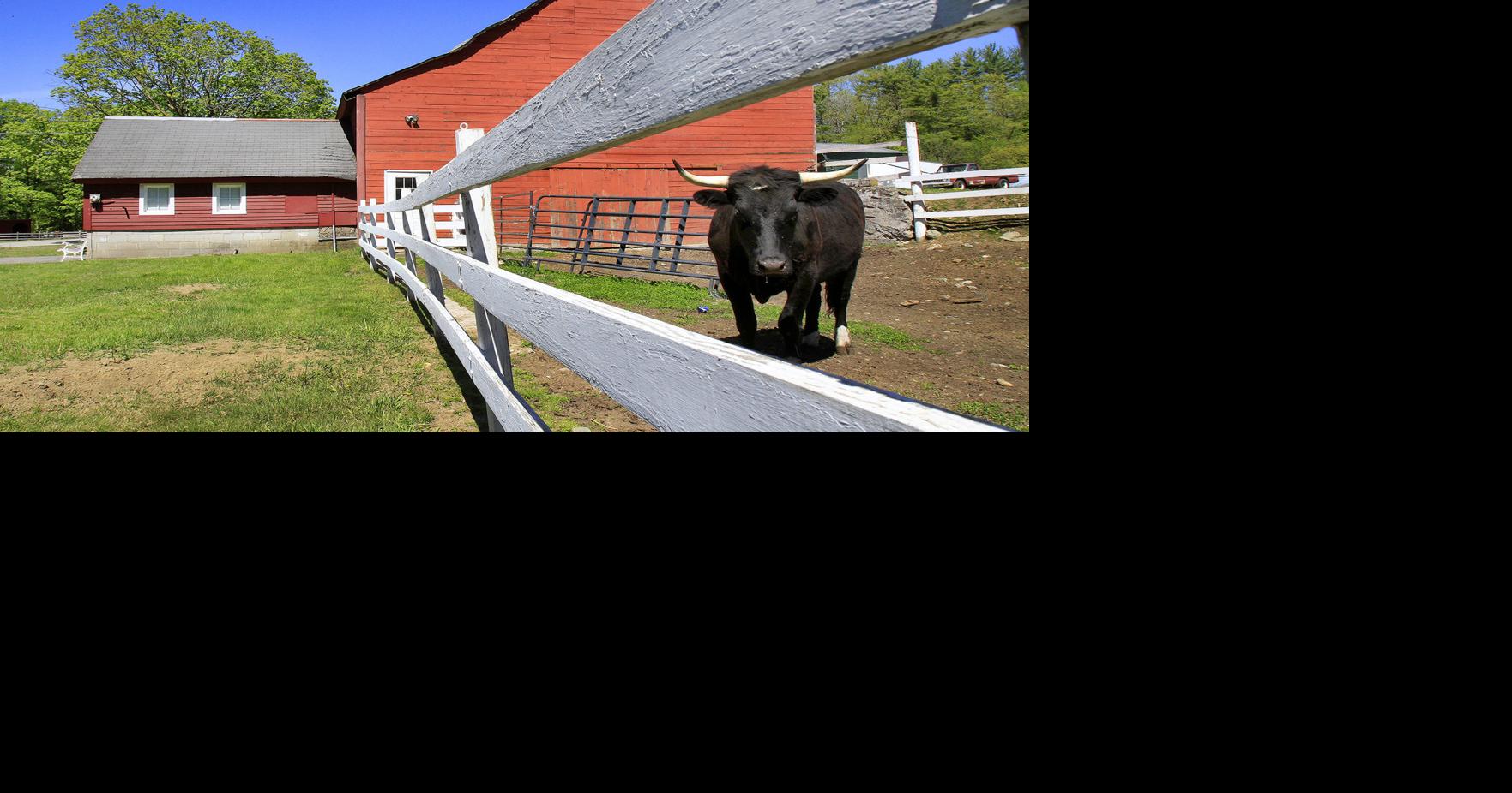 Remembering the patriarch of a centuries-old family farm in Walpole ...