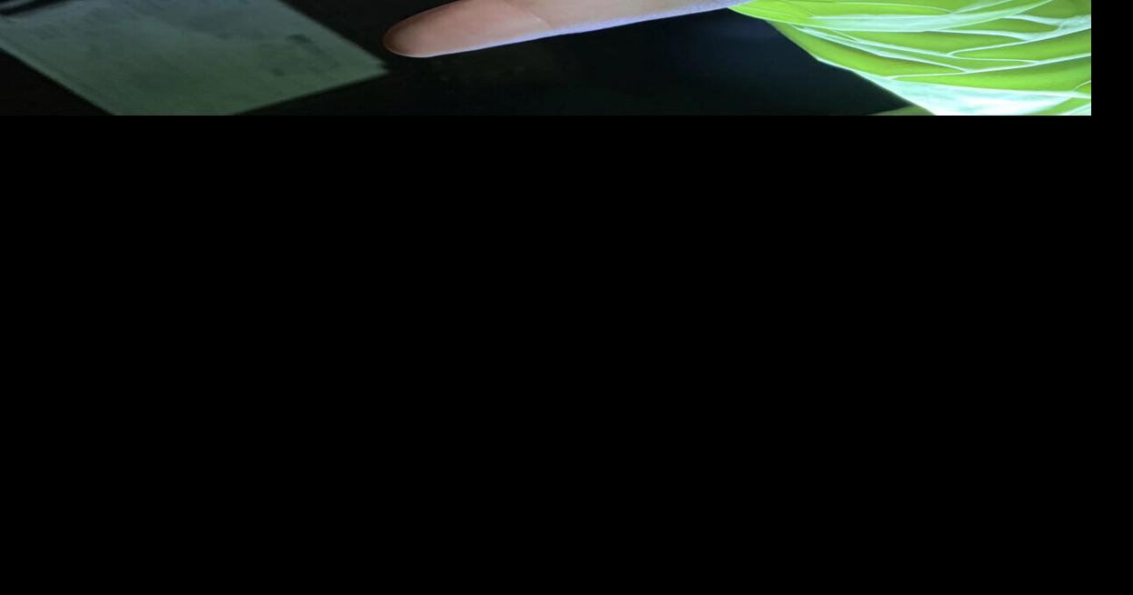 salamander promo code