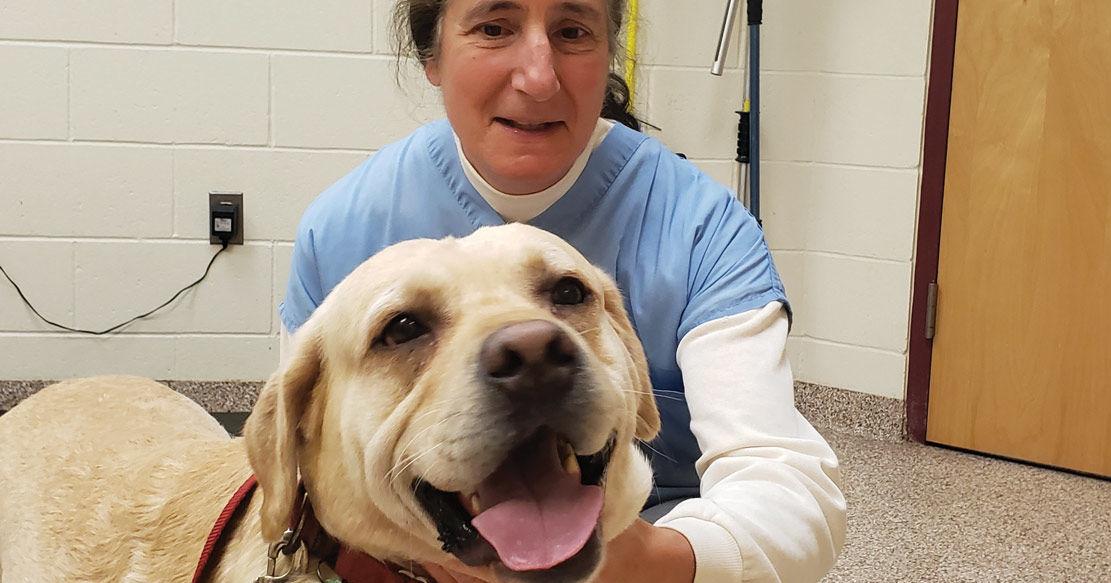 A New Model for Animal Welfare | Enjoy Life to the Fullest ...