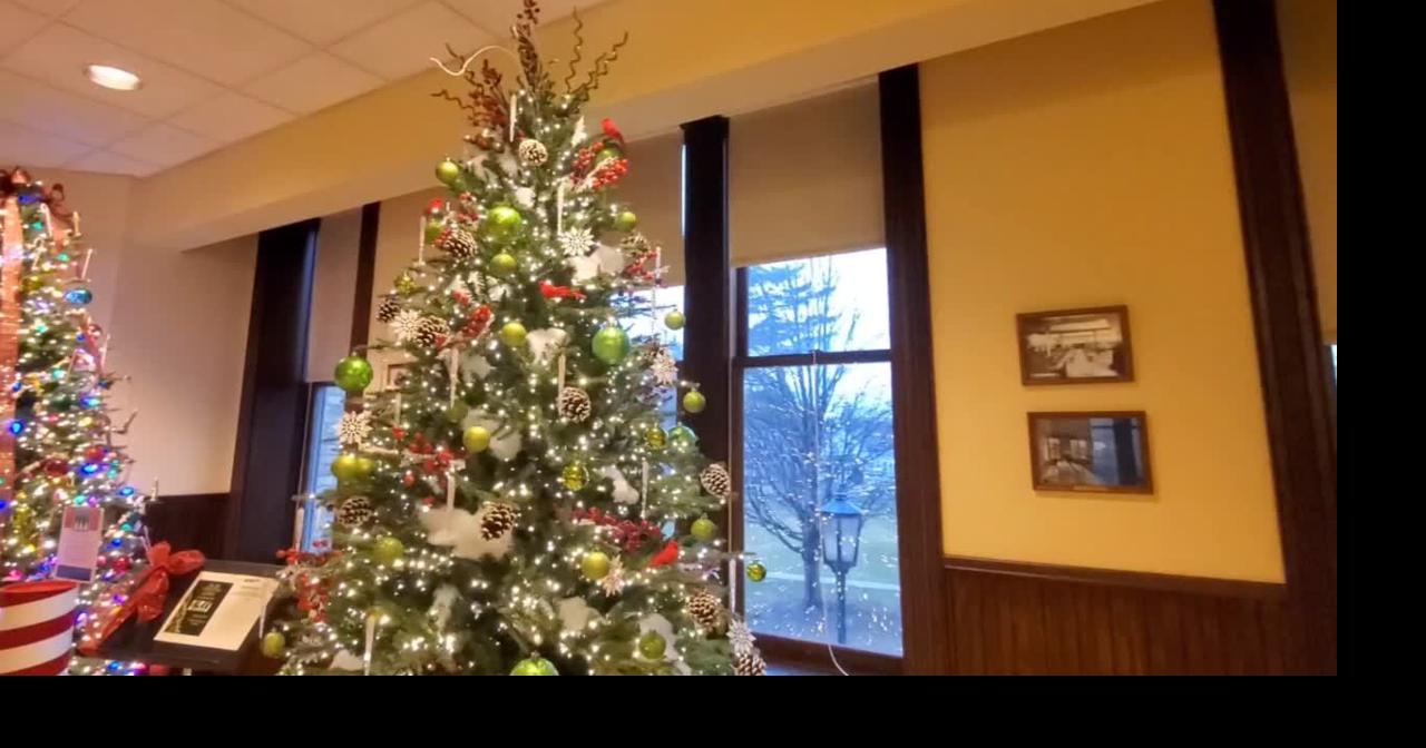 Kemper Center Gallery of Trees ~ Lee