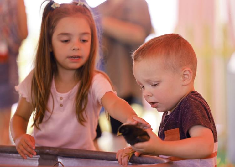 2025 Kenosha County Fair scheduled for Aug. 13-17 in Wilmot