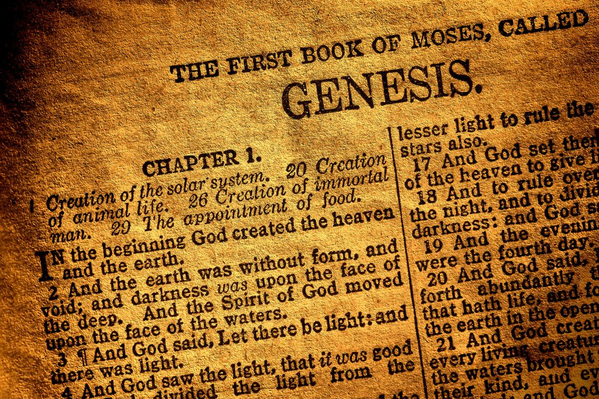 The God Squad: Genesis 1 and 2