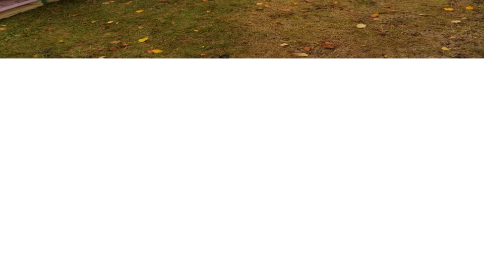 Rain can't stop pumpkin contest at Fall Festival