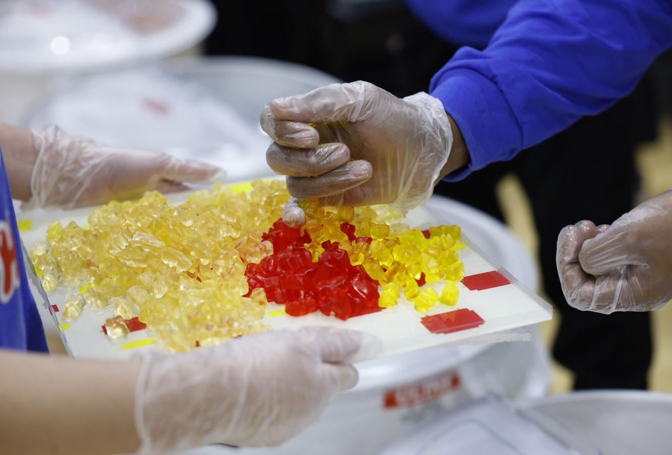 Haribo, UW-P team up for record-setting gummi bear mosaic