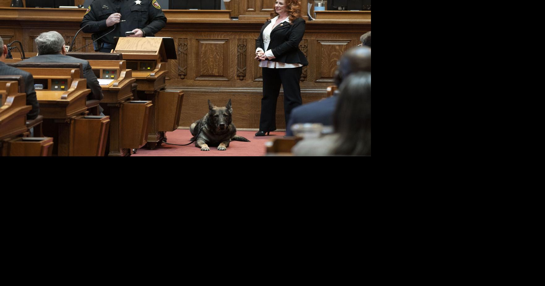 Kenosha County sheriff's deputy, K-9 Riggs receive award