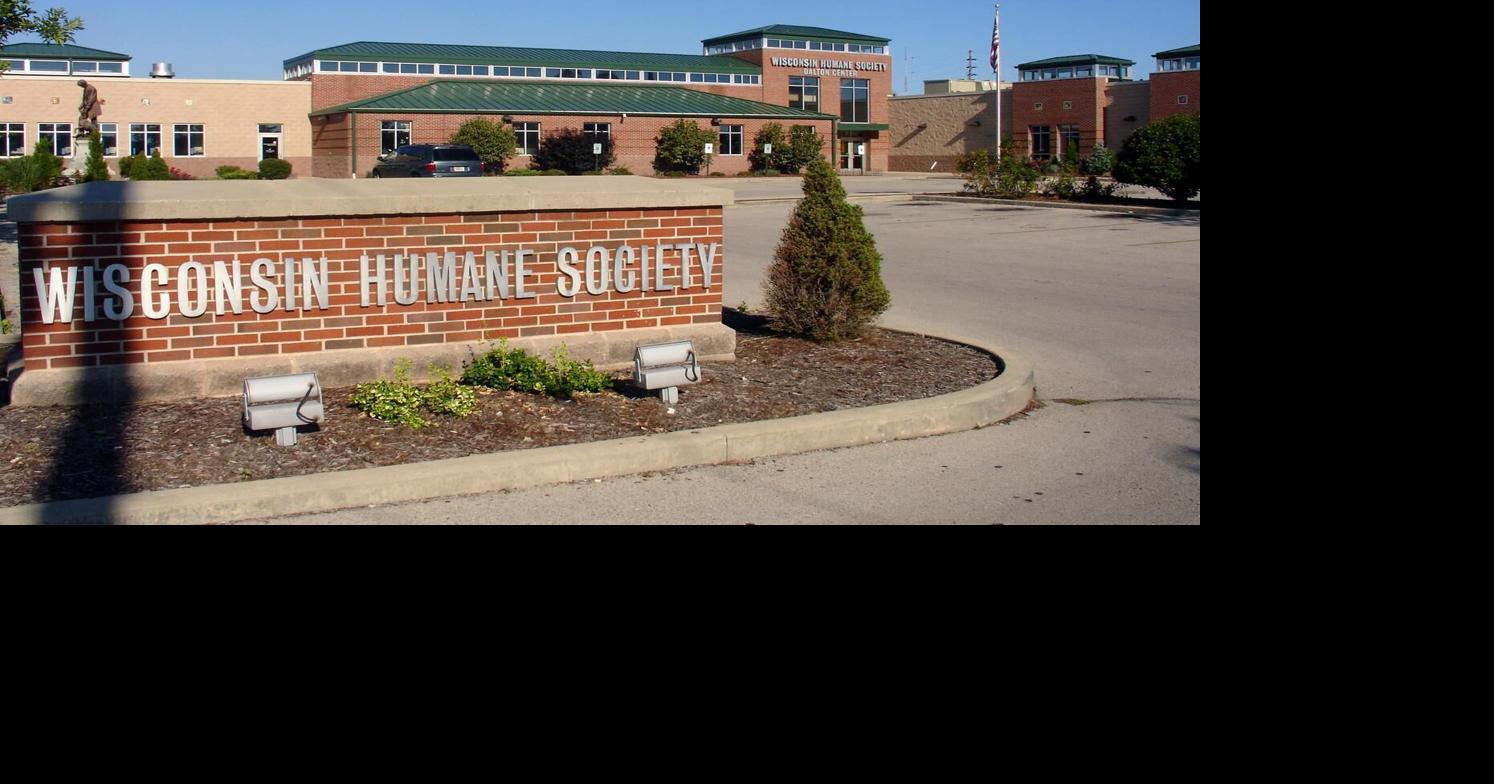 Safe Harbor Humane Society merges operations with Wisconsin Humane Society