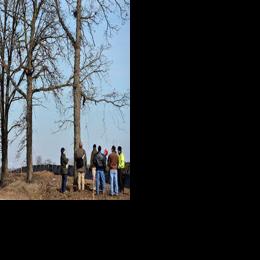 Village, Uline seek ways to save Highway U oak trees