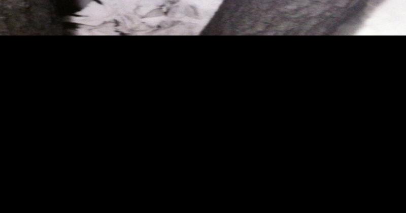 MIchael and Linda Strunk 50th anniversary