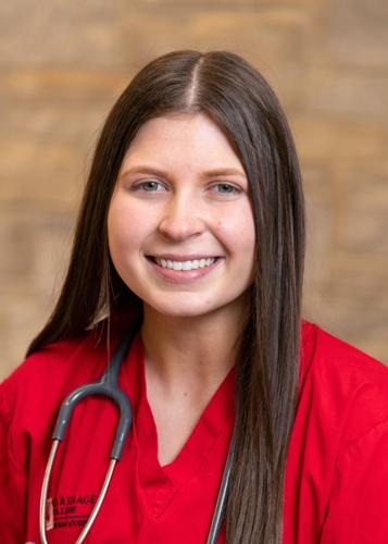 Ribbons to adorn Kenosha trees for domestic violence month