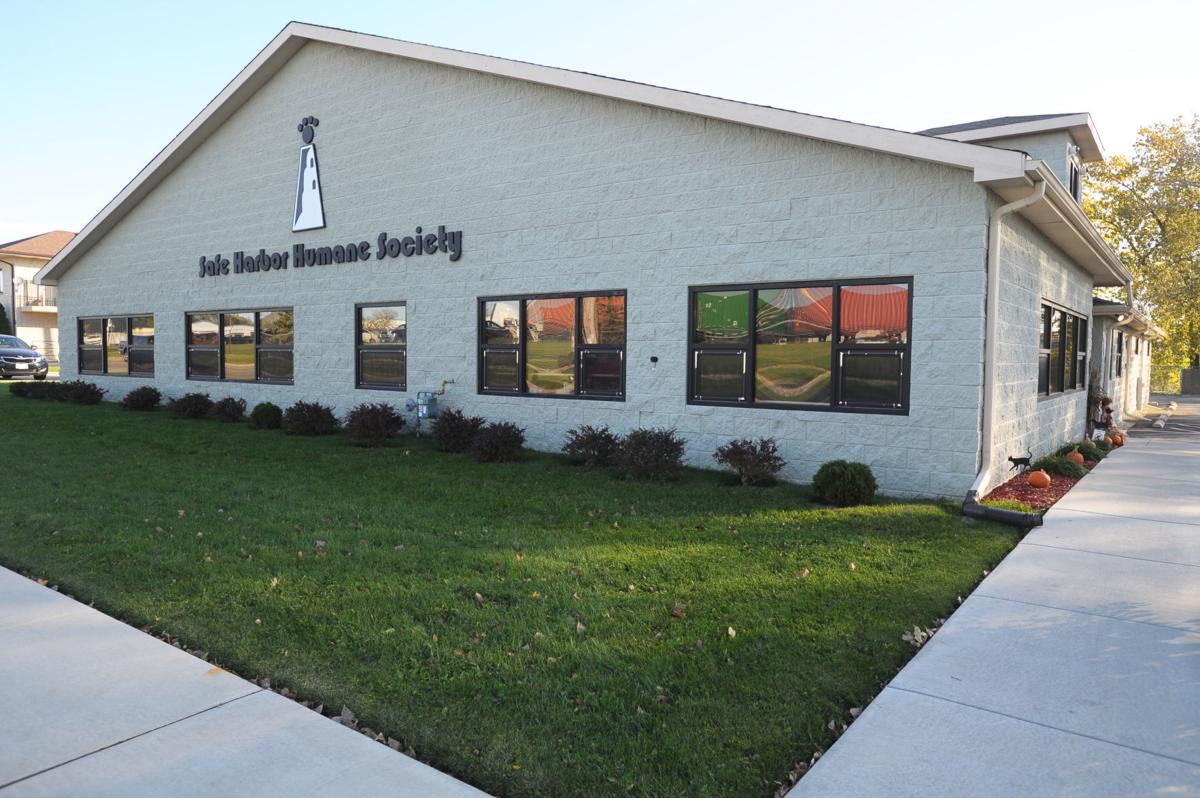 Safe Harbor Humane Society Adoption
