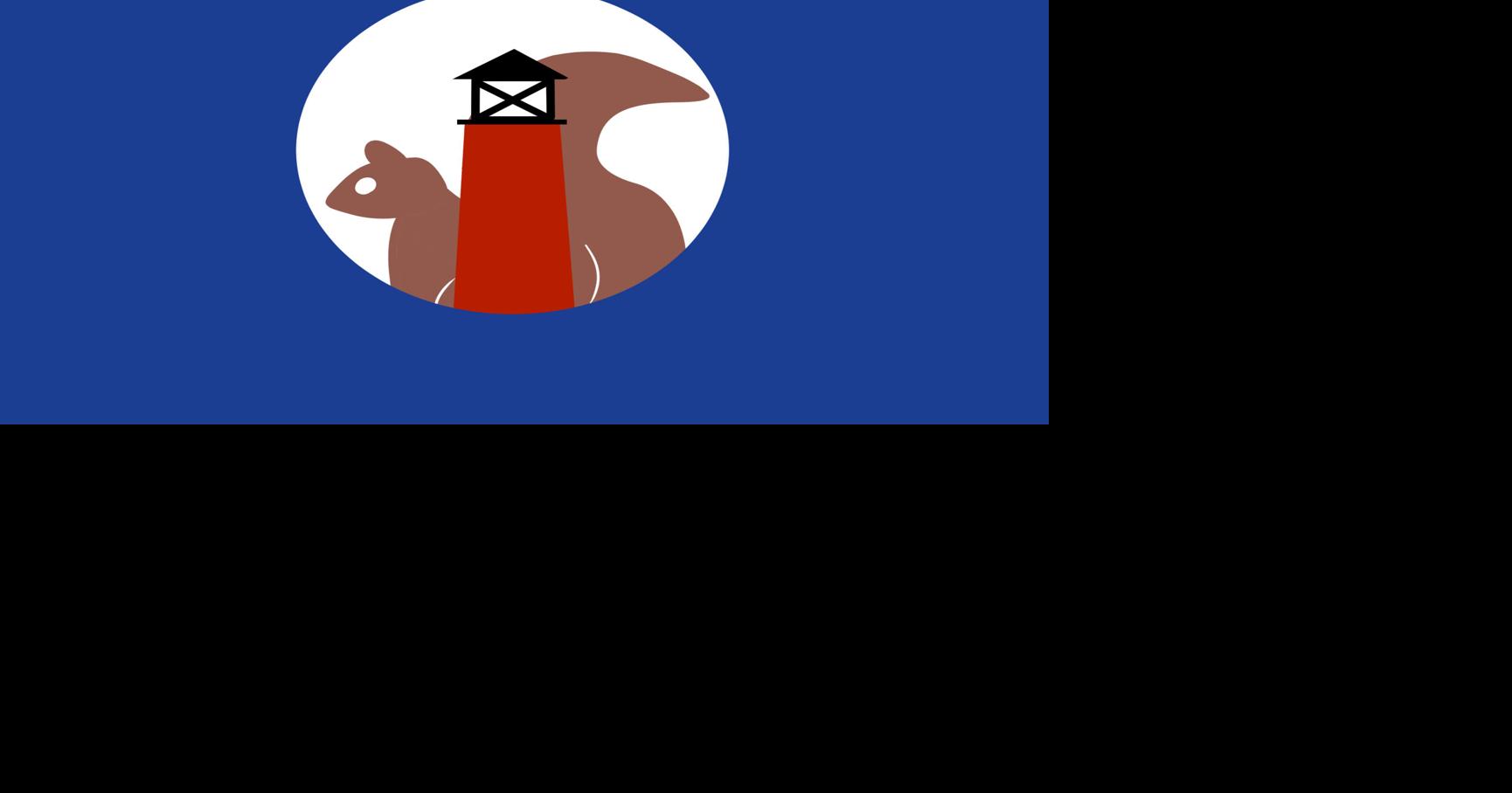 Fun with flags? Not for Kenosha!