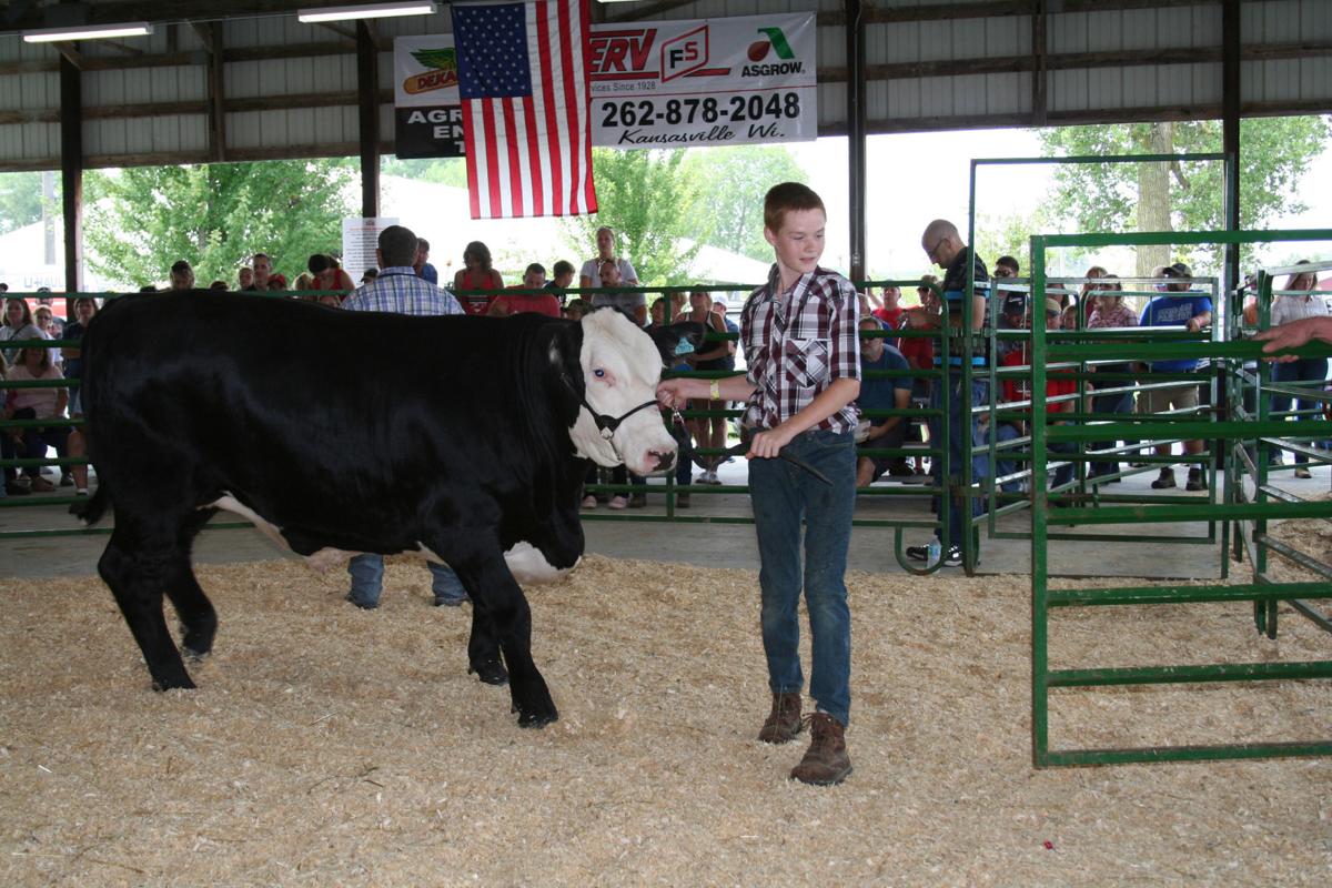 County fair livestock auction helps kids fulfill their dreams | Local ...