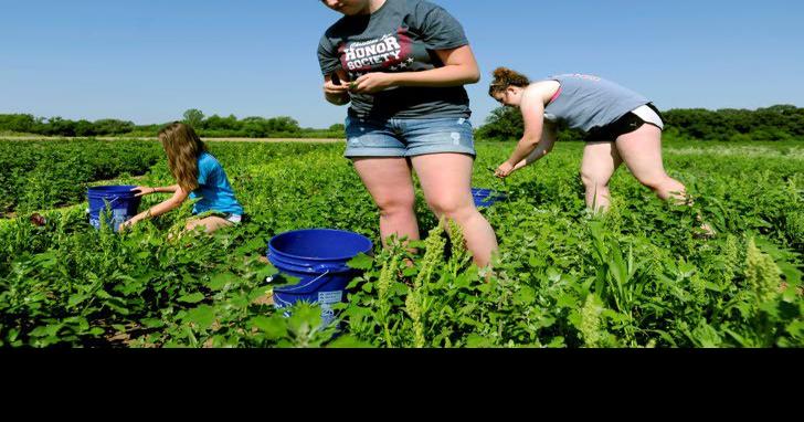 Share and share alike: Living Hope Farm is a little farm with a big heart