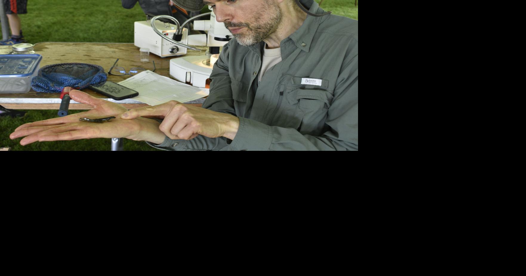 BioBlitz connects residents with nature, helps survey Pringle Nature Center