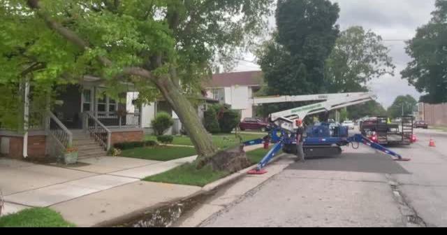 Photos and video show damage from the Aug. 10, 2021 storm