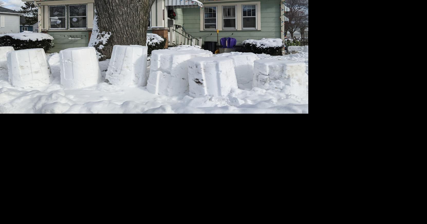 Liz Snyder's TGIF column: If you see your shadow, are we still in ...