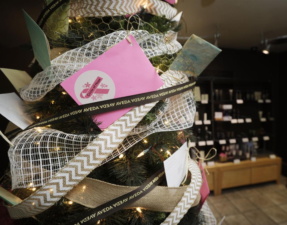 Entrepreneur sets up 'Giving Tree' to help nonprofit charities | Local ...