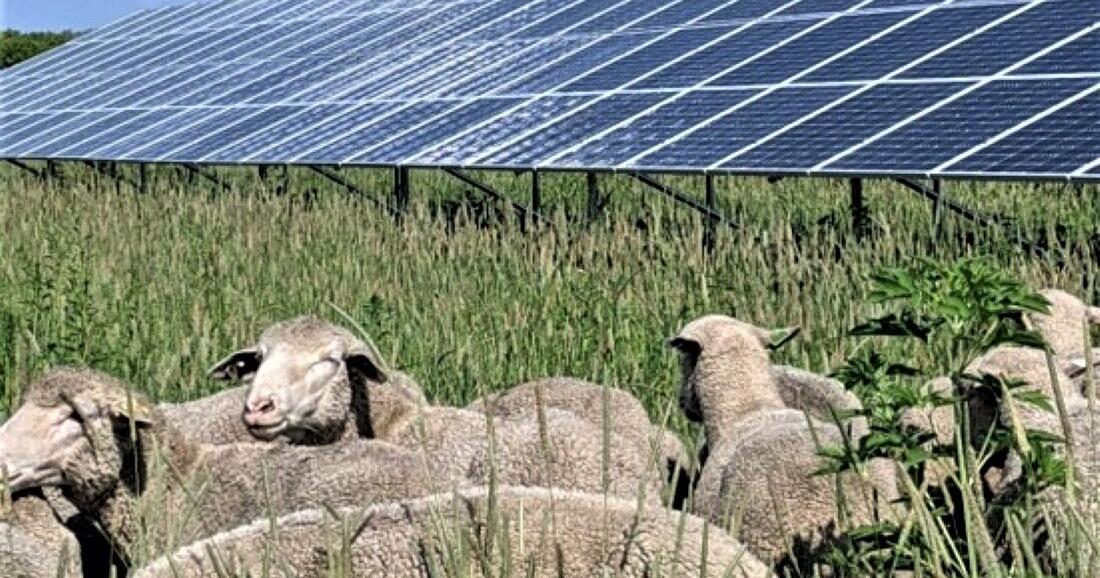 Community-scale solar energy farm project approved by Wheatland Plan ...