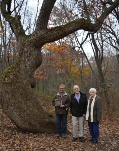 Pringle Nature Center receives “Trees We Love” award
