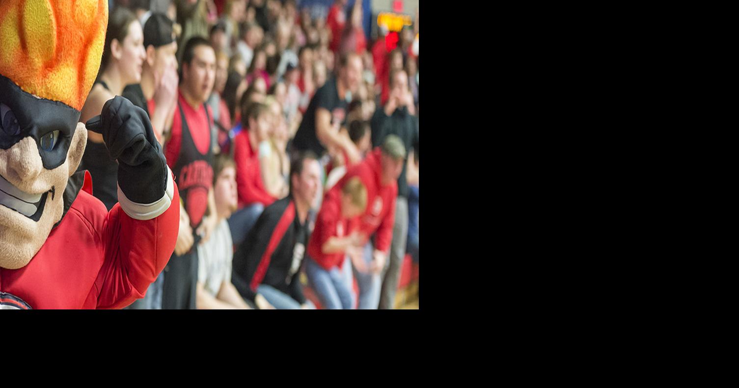 Liz Snyder: Carthage mascot news leaves us squawking