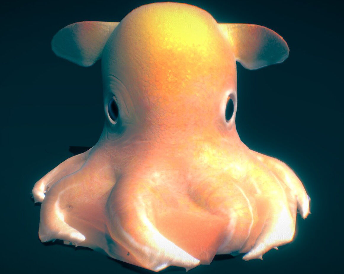 Kenosha area events for Wednesday, Nov. 15