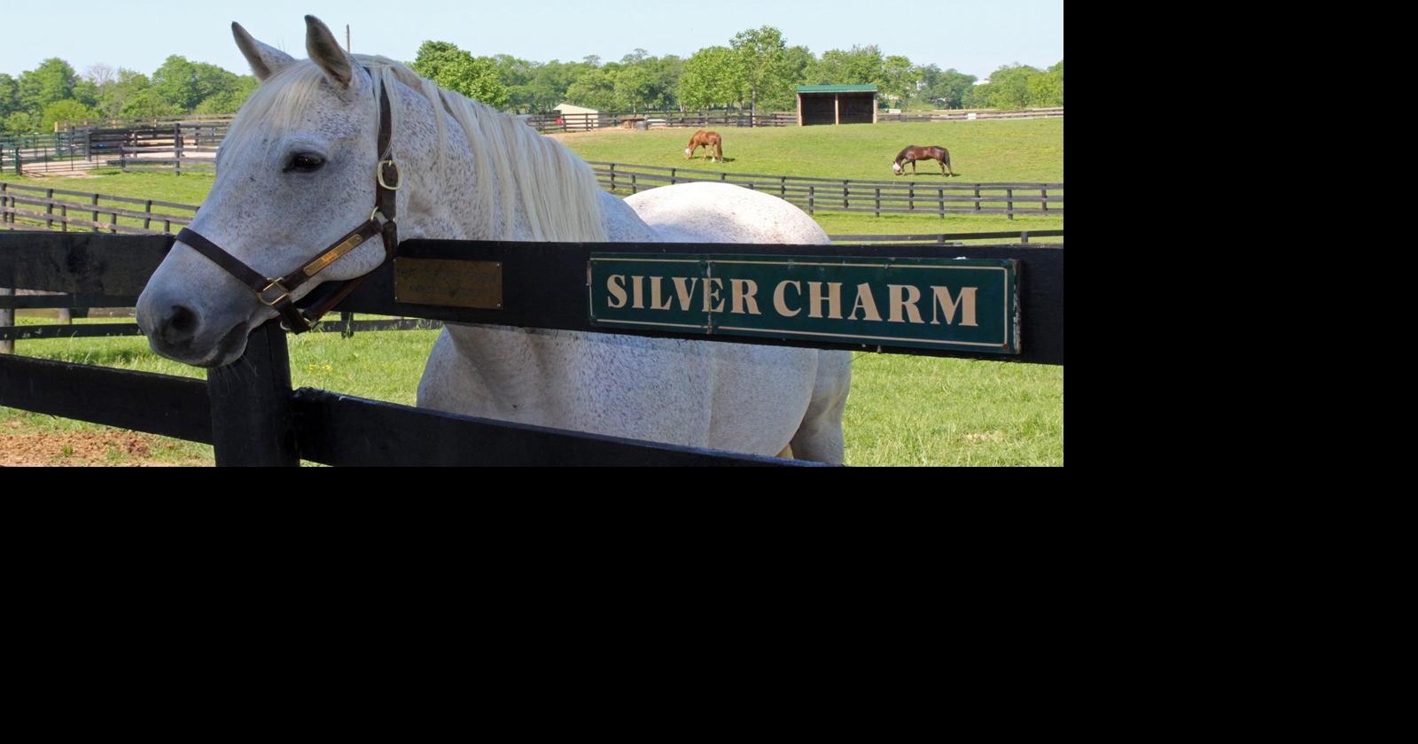 Roads Traveled: Head to Kentucky for equine adventures