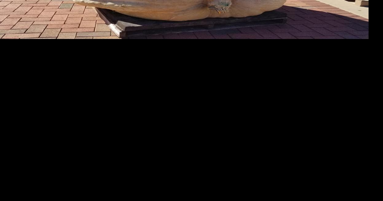 City of Kenosha's 2019 Fall Festival includes a Giant Pumpkin Contest