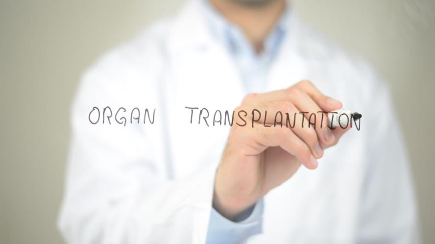 THE GOD SQUAD: The transcendent act of organ donation