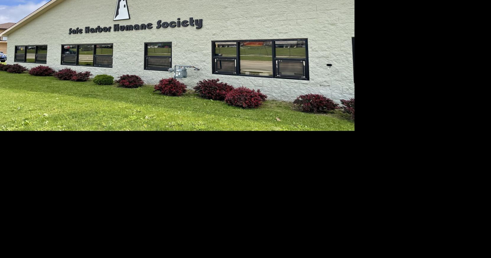 Safe Harbor Humane Society's executive director resigns amid criticism ...