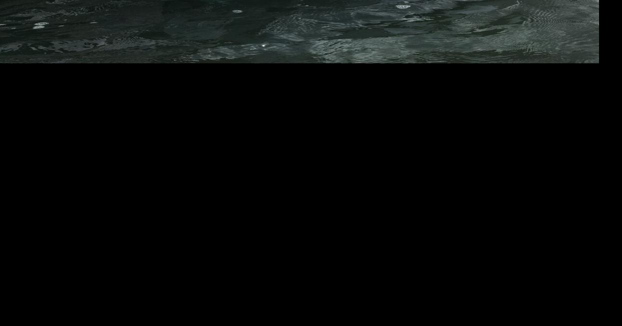 Wheatland students determined to stay afloat in STEAM cardboard boat ...